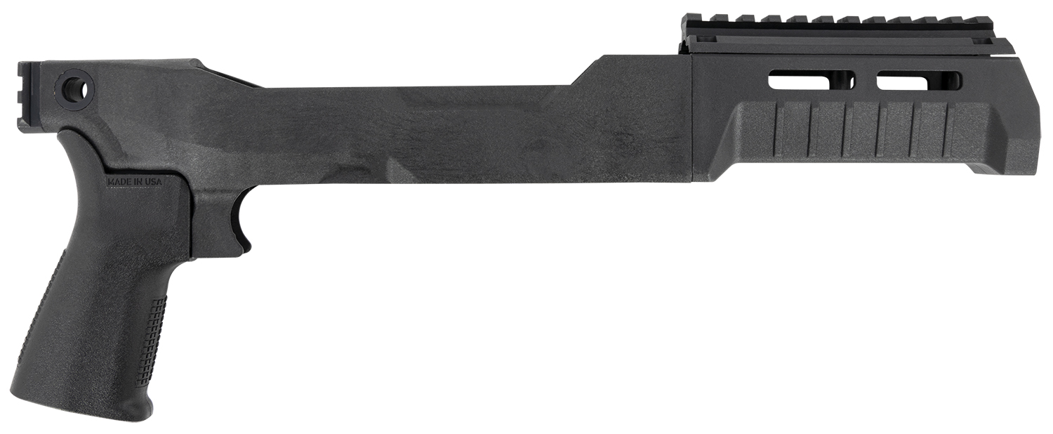 Ruger 1022 Takedown Tactical